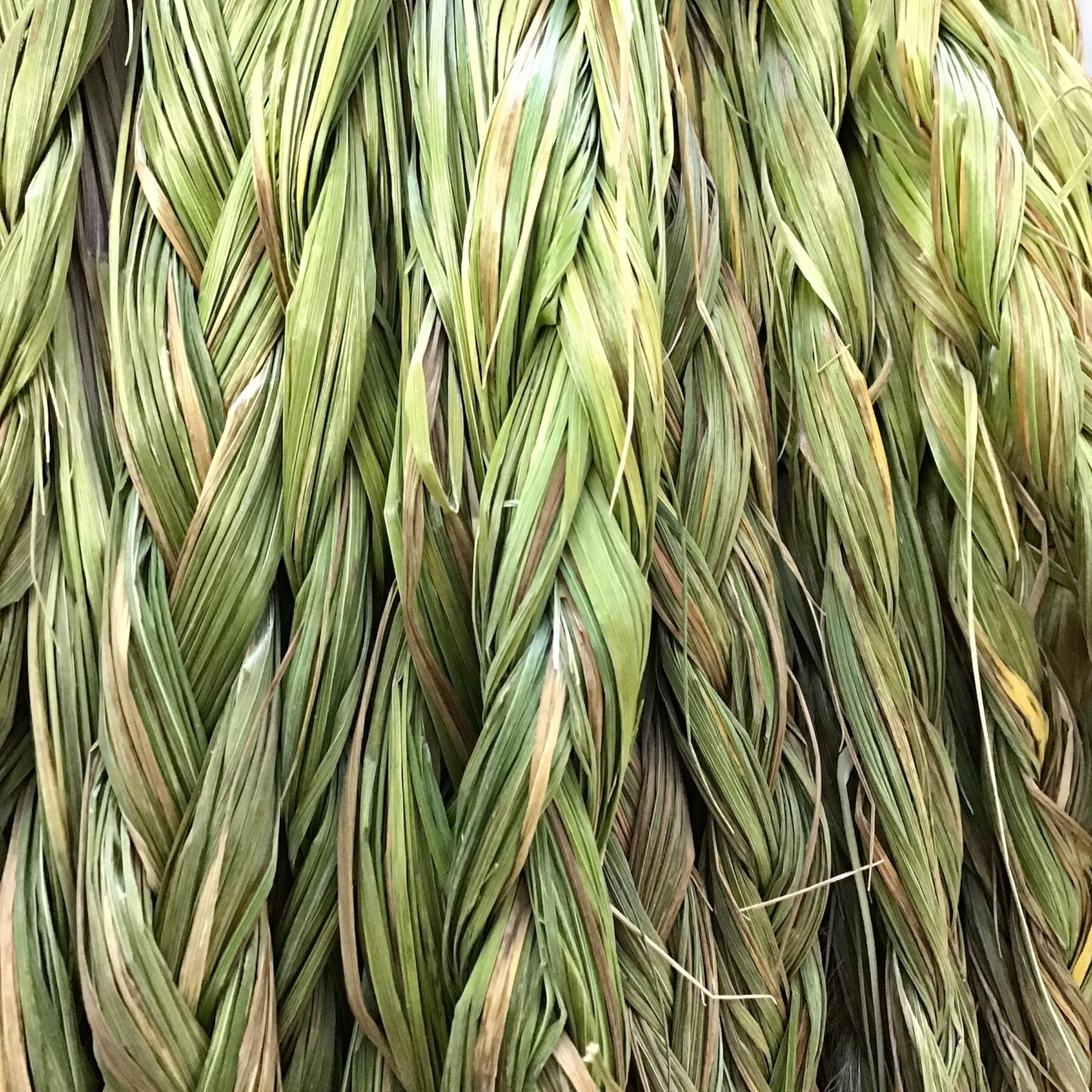 Sweet Grass Braid 25-30" – OldTribes